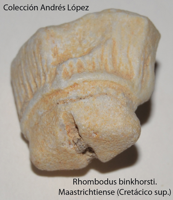 Grupo Mineralógico de Alicante. Minerales del Mundo